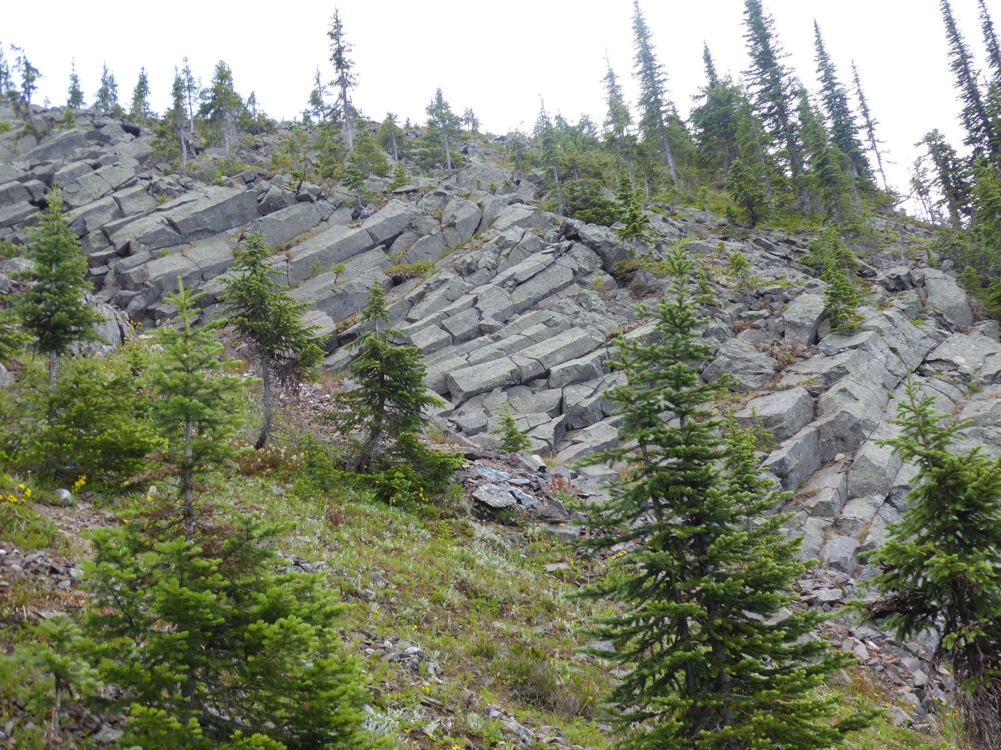 Field Trips – VERNON LAPIDARY AND MINERAL CLUB